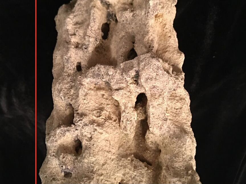 Декорация, декор в аквариум / амфора, растения