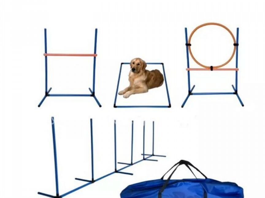 Набор для аджилити