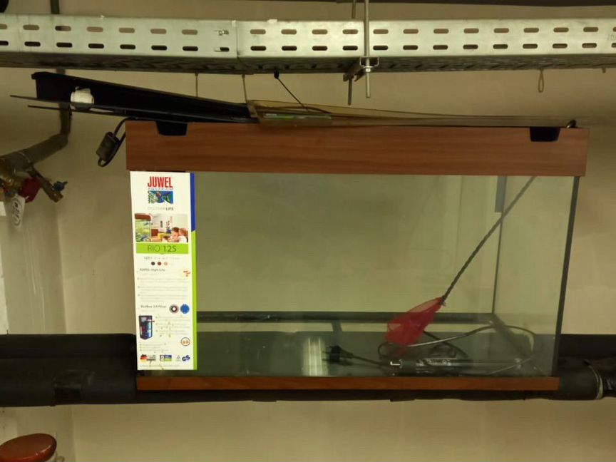 Аквариум juwel 125