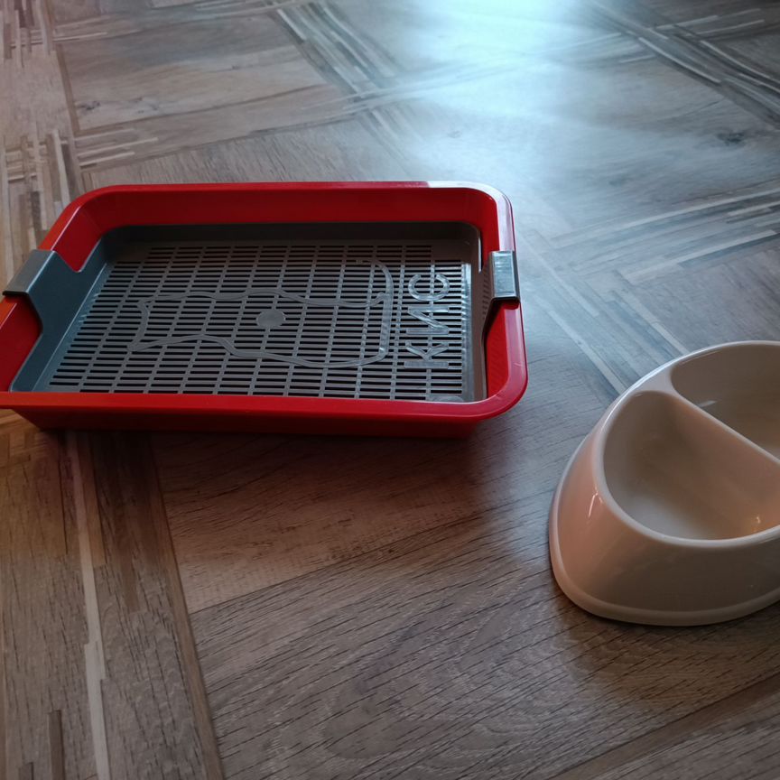 Лоток и миска для котенка