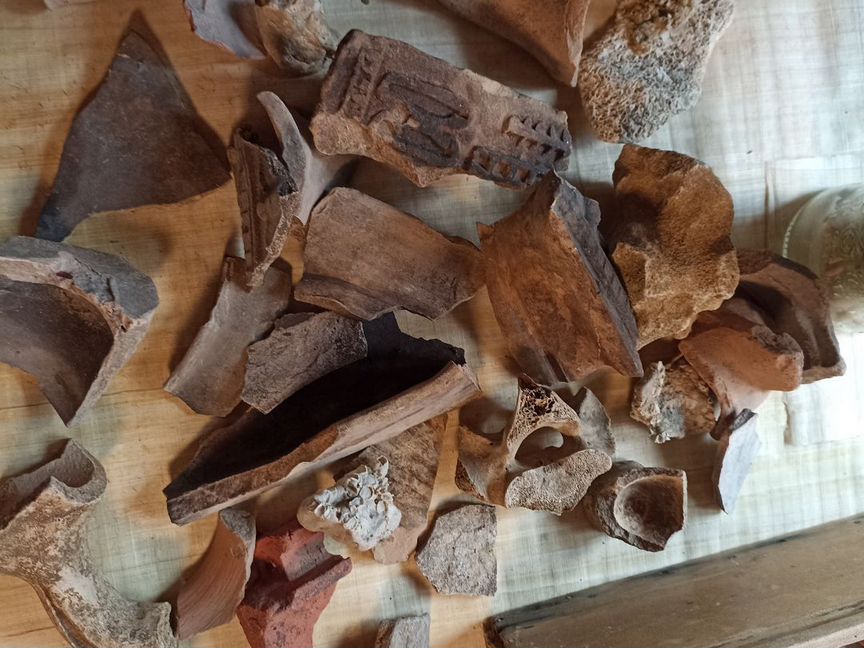 Античные черепки, ракушки, окаменелости