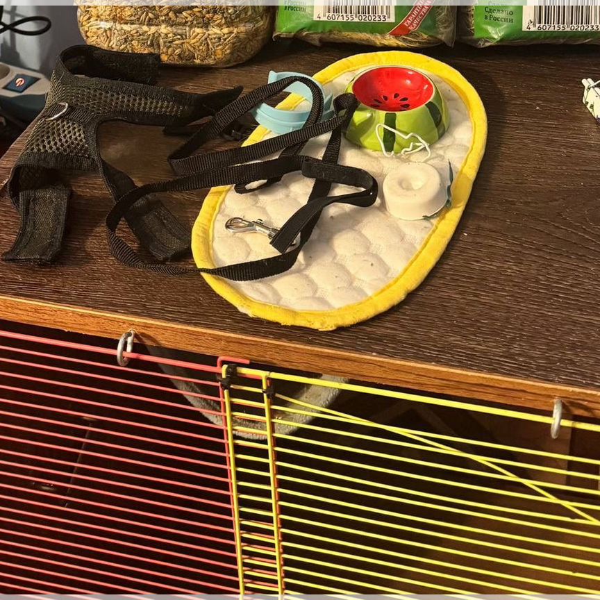 Домик для грызунов