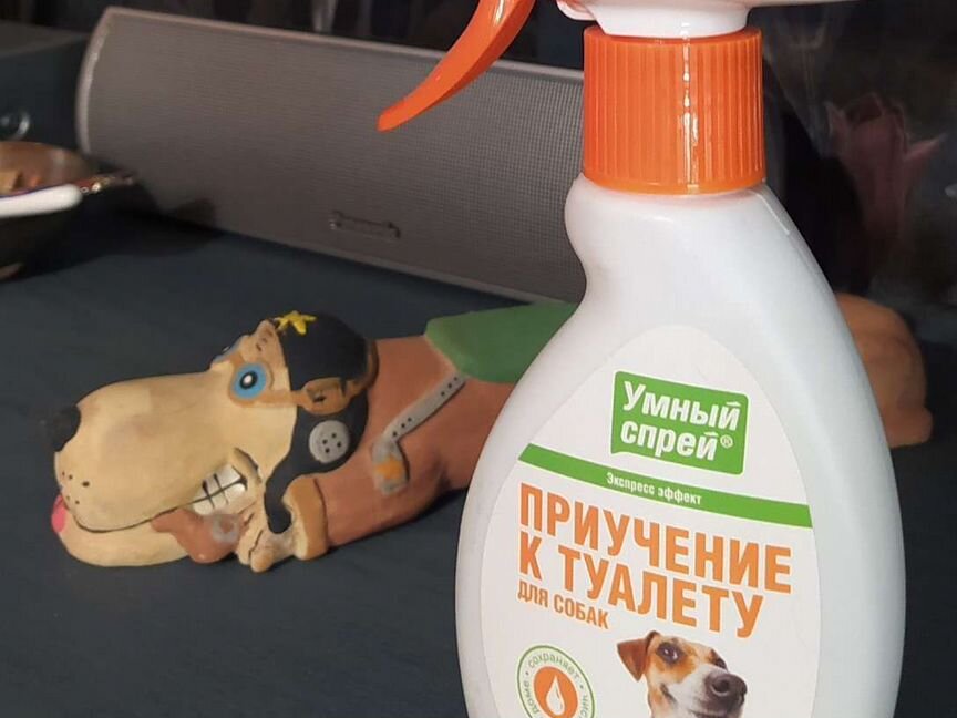 Приучение к туалету для собак