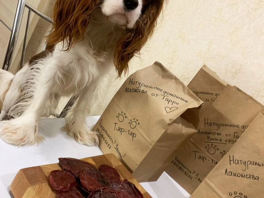 Домашние лакомства для собак