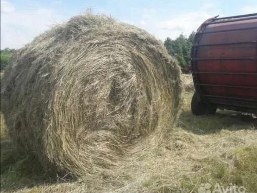 Сено в рулонах 2023