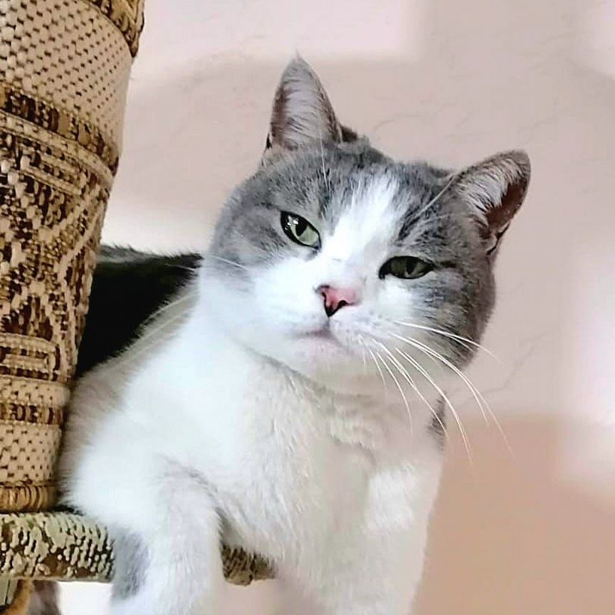 Ласковая Ляля для добрых людей