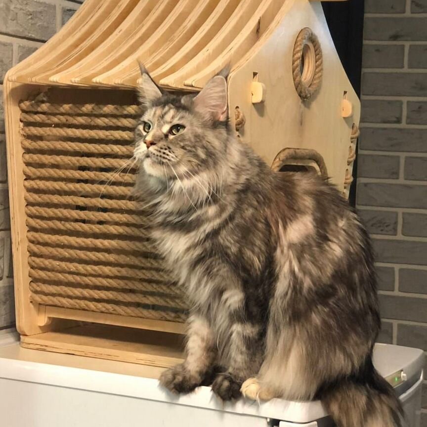 Домик для кошки из дерева