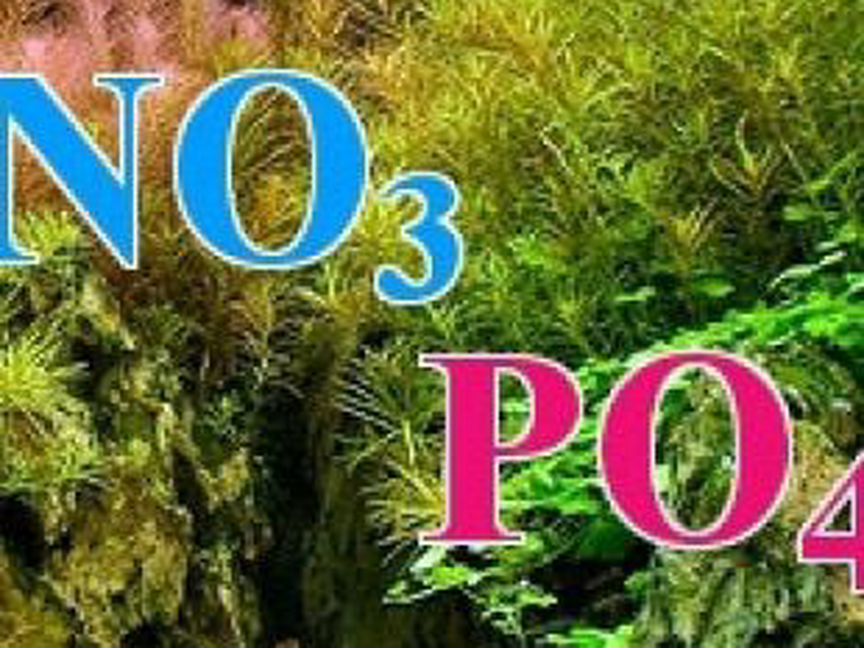 Добавка нитрат NO3 и фосфат PO4 морской аквариум