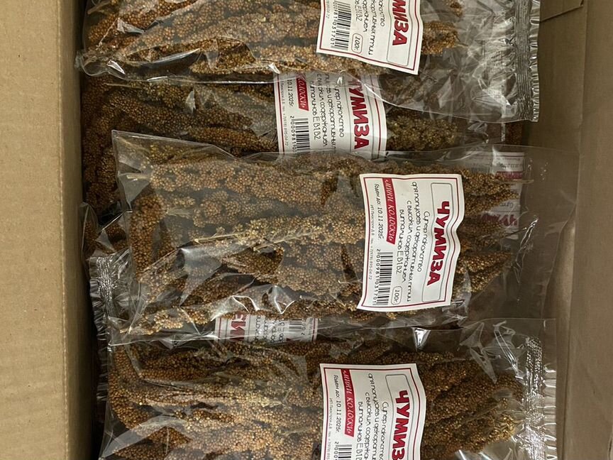 Чумиза лакомство для попугаев