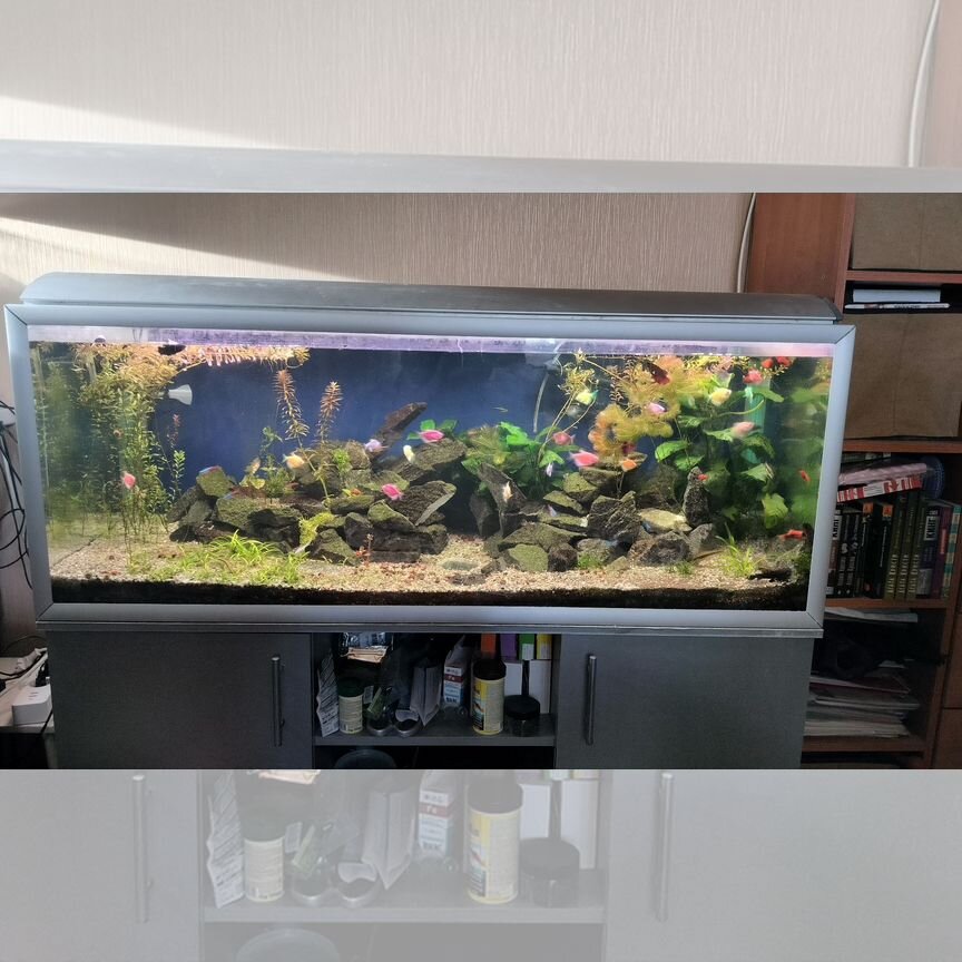 Аквариум 325 литров