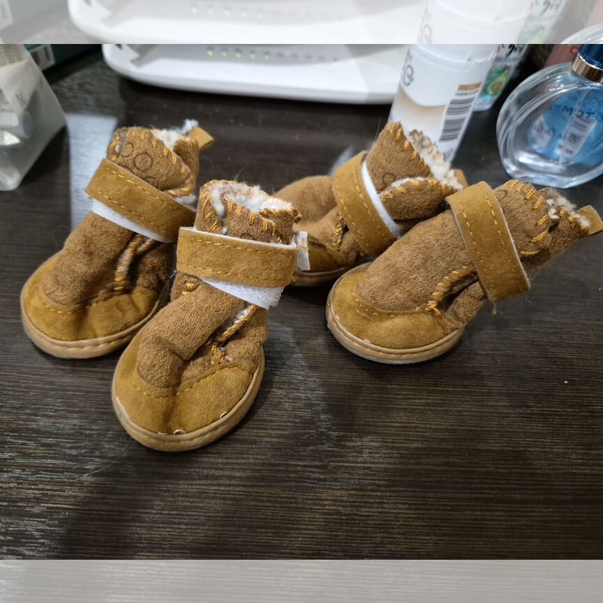 Обувь для собак мелких пород