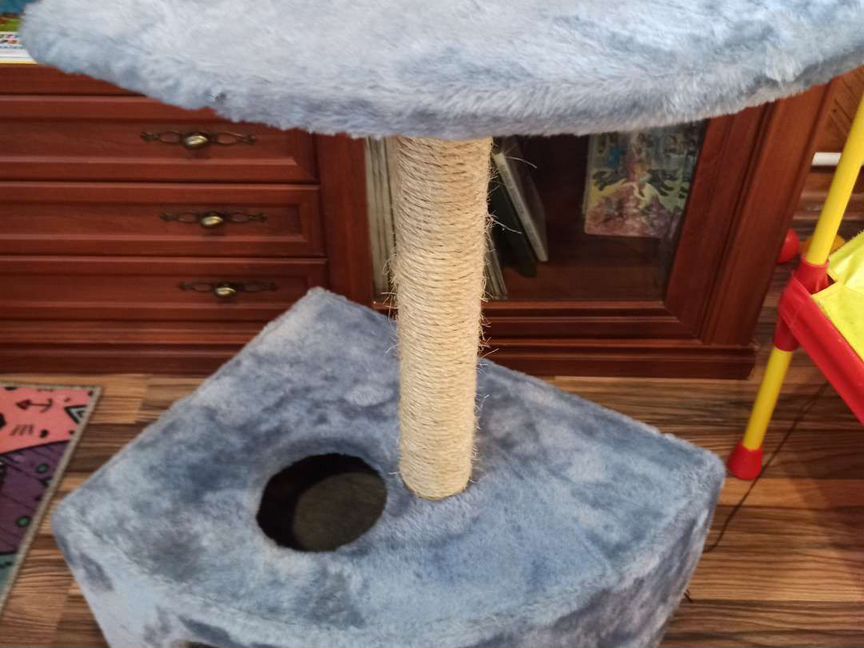 Дом когтеточка