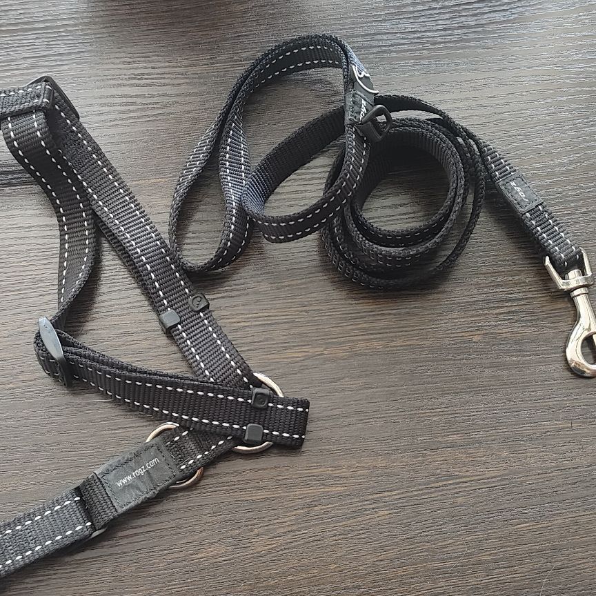 Шлейка для собаки