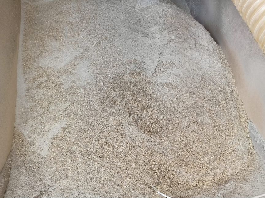 Дробленка овсяная