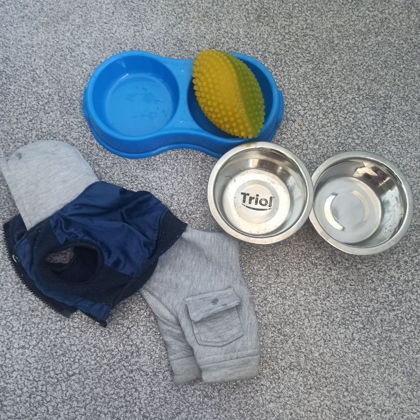 Одежда для собак мелких пород пакетом