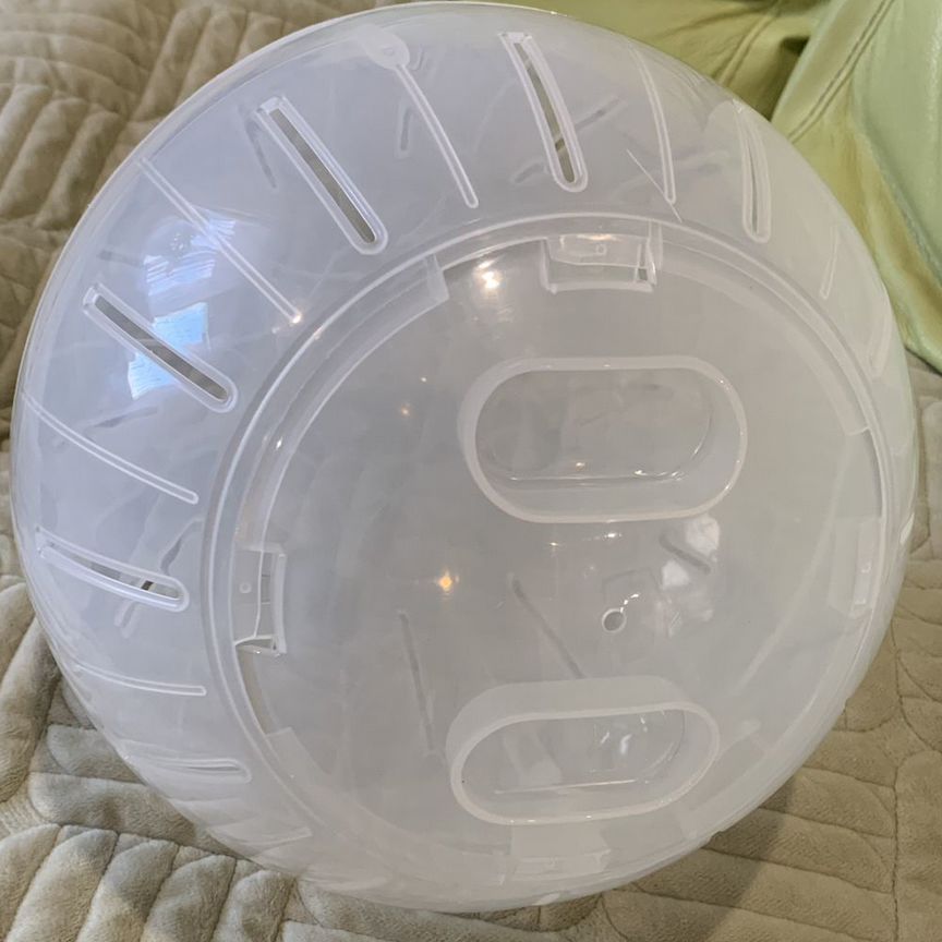 Шар для морской свинки