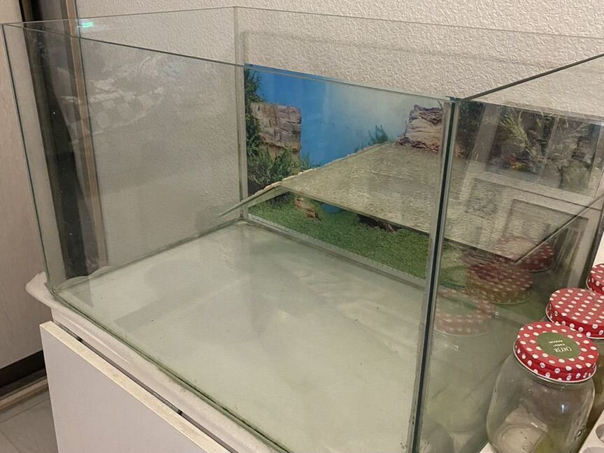 Аквариум на 100 литров