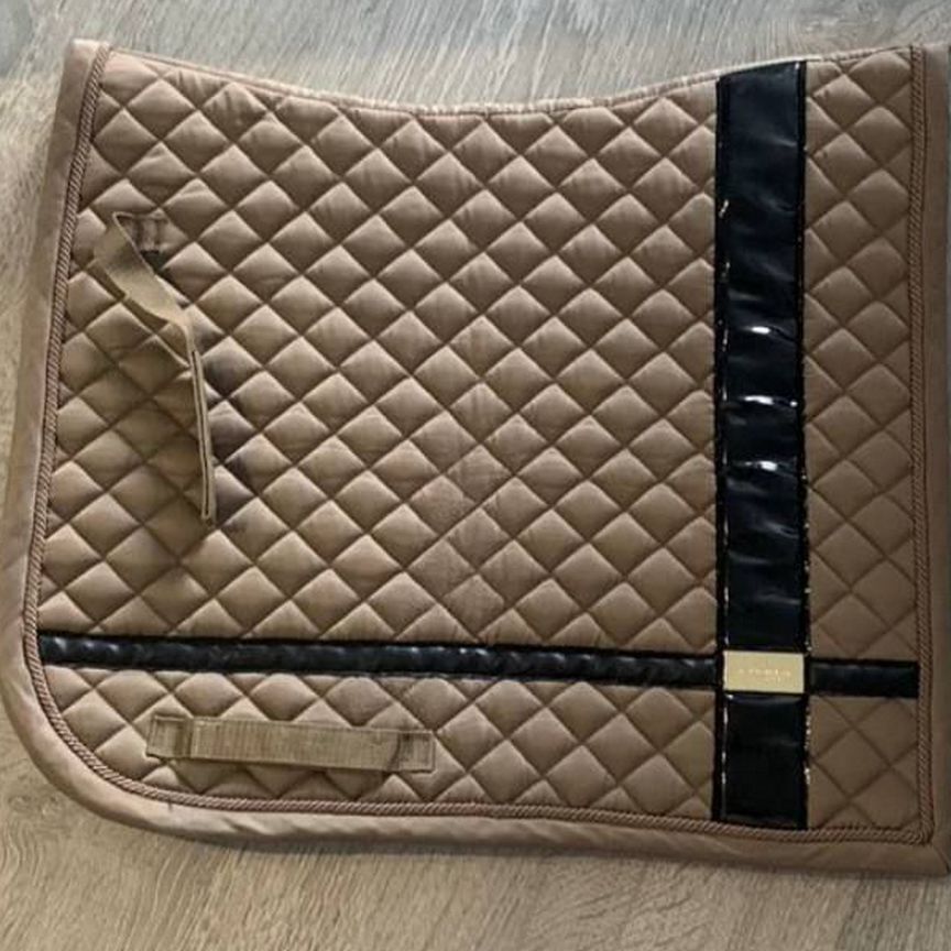 Вальтрап выездковый