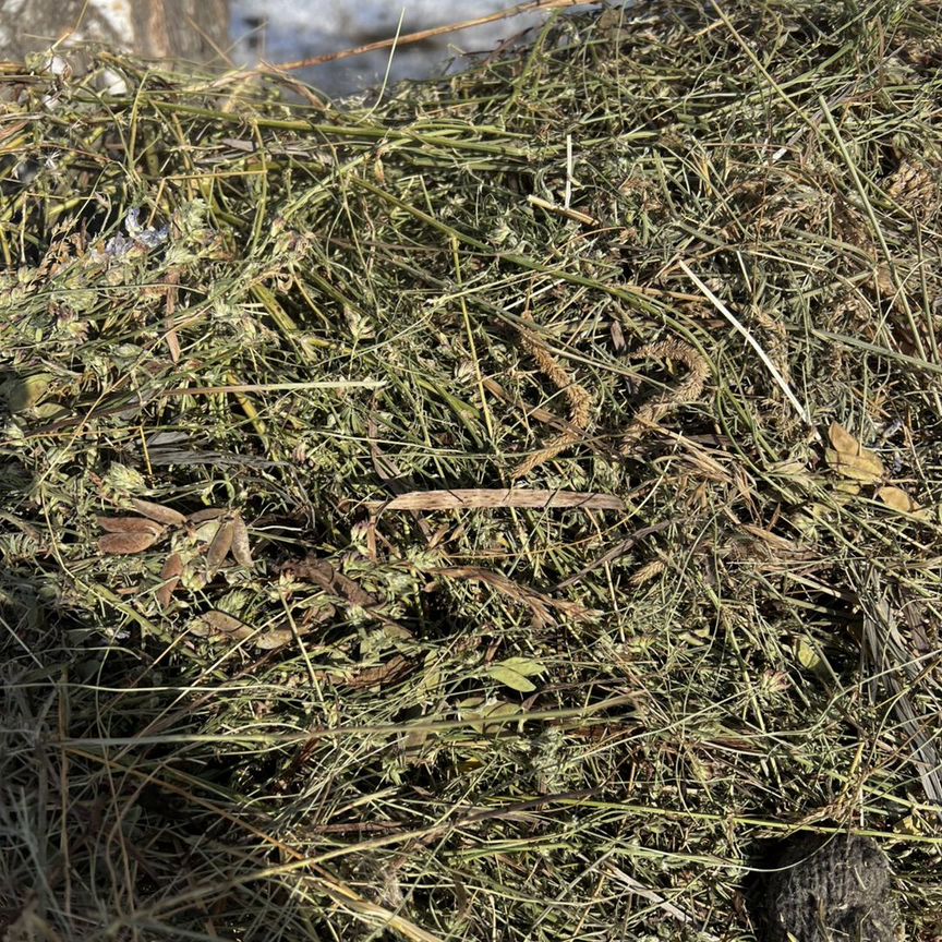 Сено в мешках