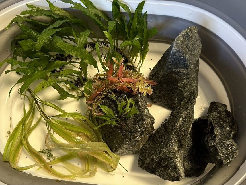 Камни для аквариума
