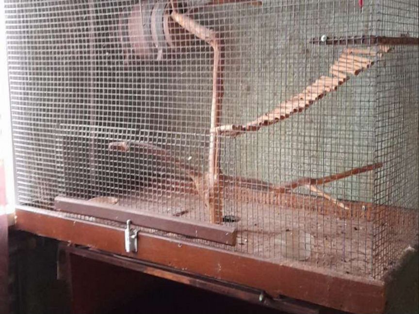 Клетка для грызунов