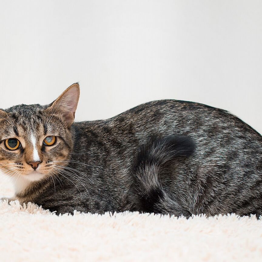 Кузенька ласковый мальчик подросток