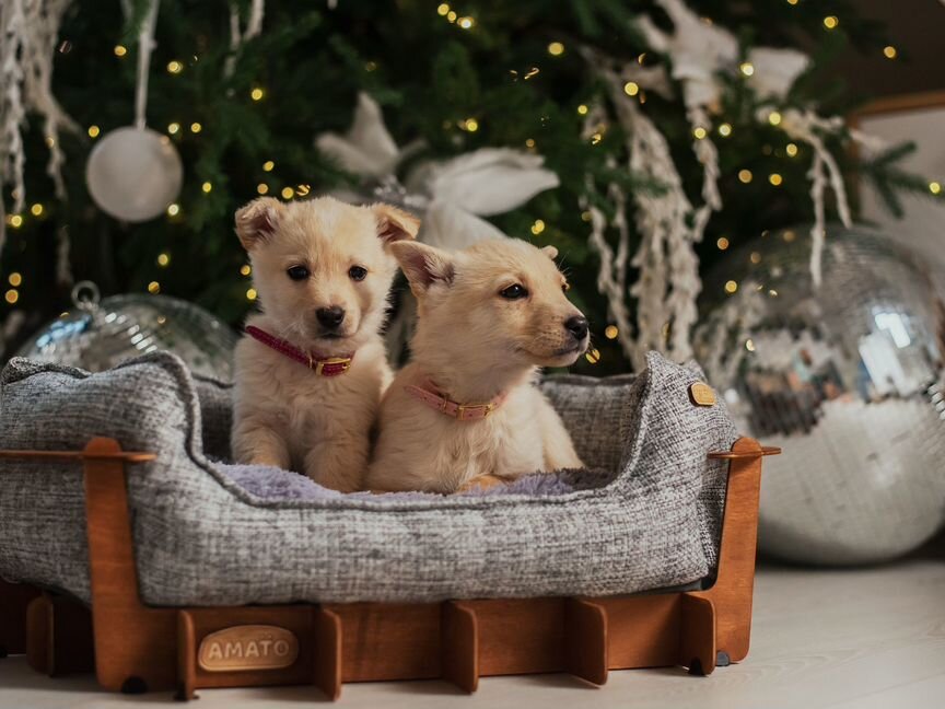 Лежанка для собак мелких и средних пород, кошек