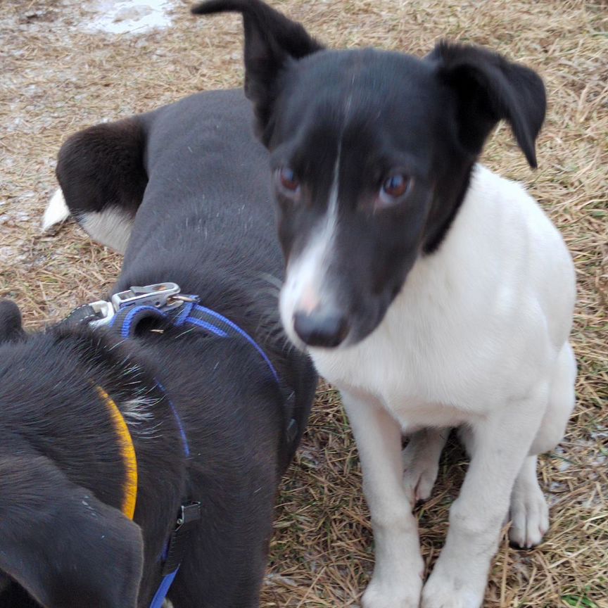 Мальчик ищет семью