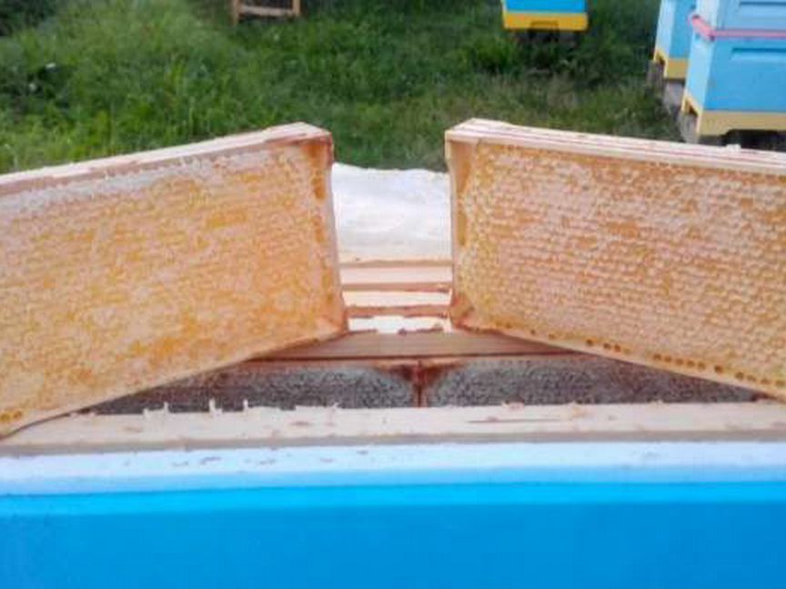 Рамки с вощиной