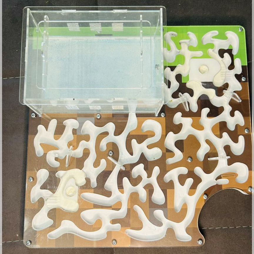 Формикарий для муравьев бу