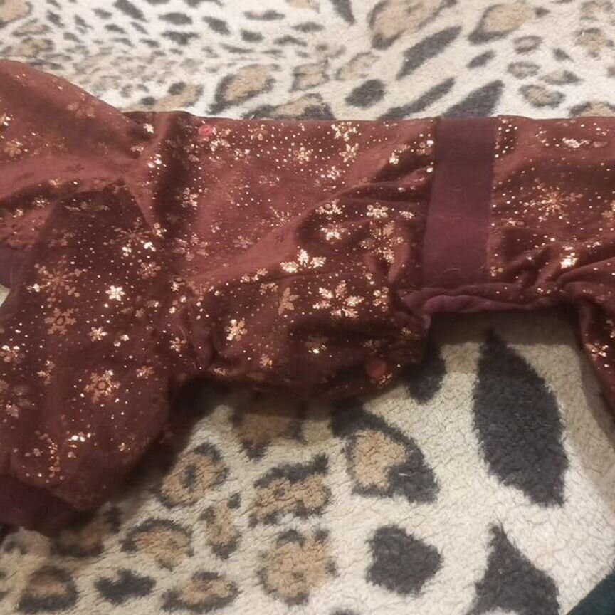 Комбинезон для маленькой средней собаки