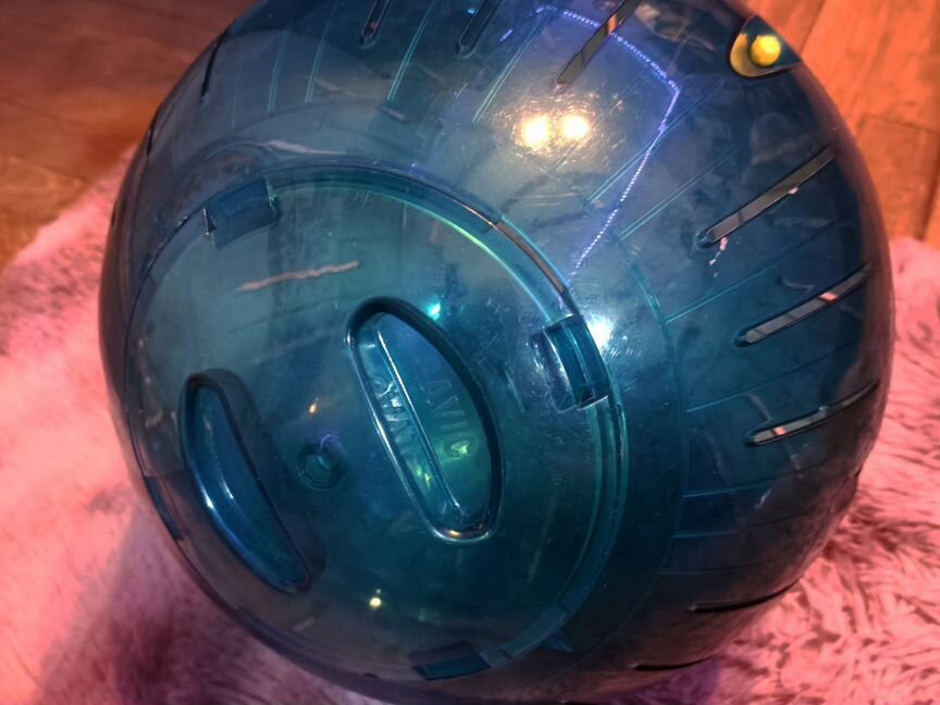 Шар для грызунов 25 см