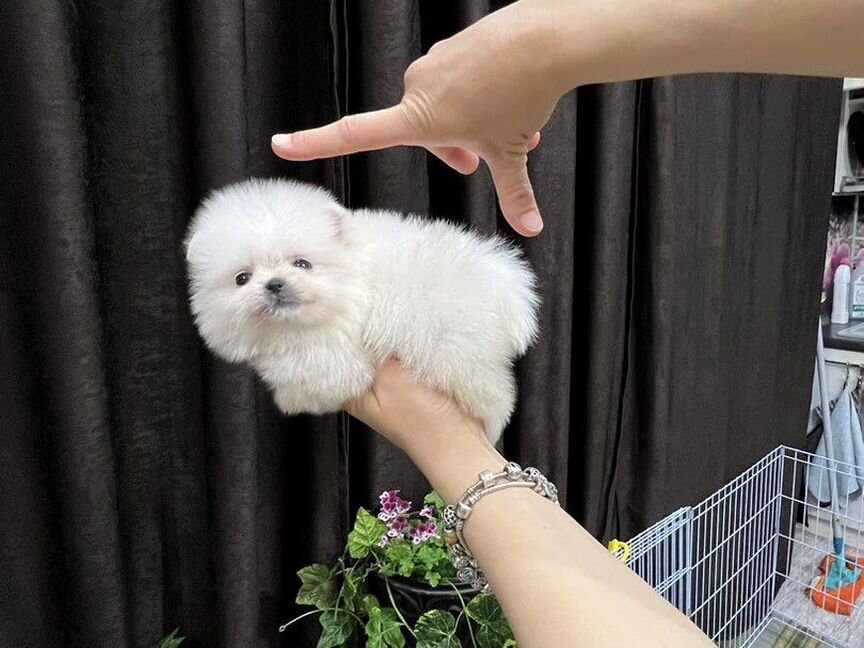 Супер mini малышка