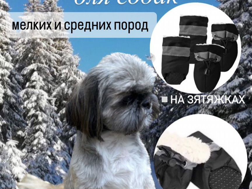 Обувь для собак