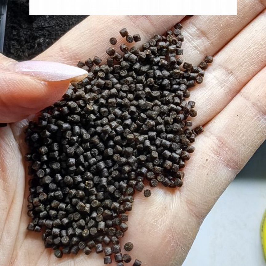 Корм для рыб высокопротеиновый