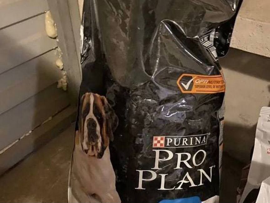 Корм для собак PRO plan для крупных пород