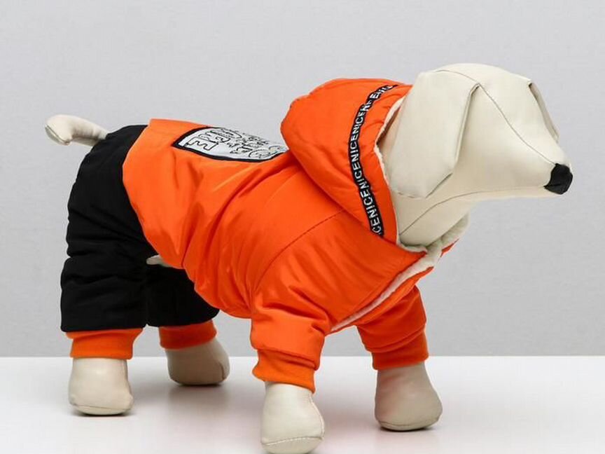 Комбинезон Dog Care, размер S, 111