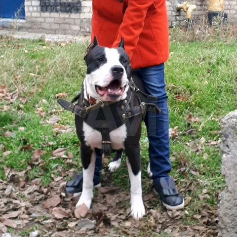 Вязка стафф