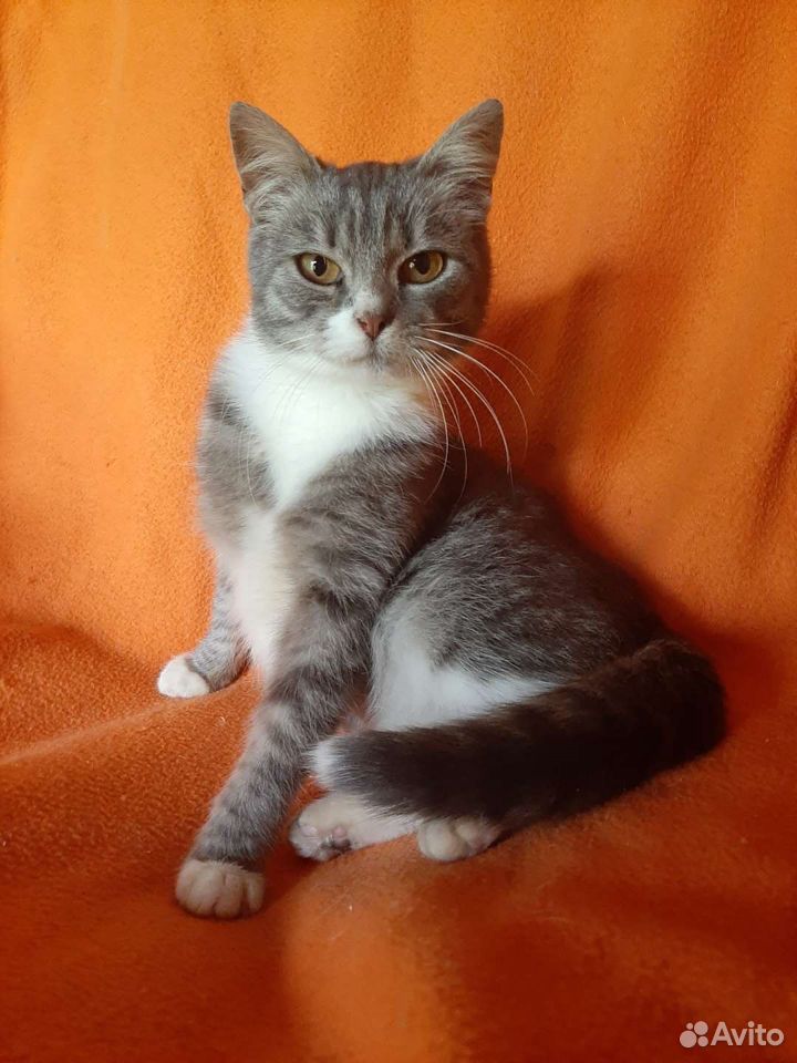 Роскошная малышка 6 мес