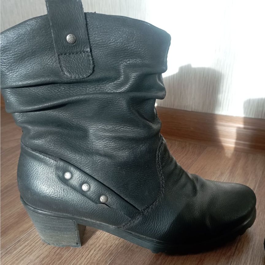 Сапоги женские демисезонные